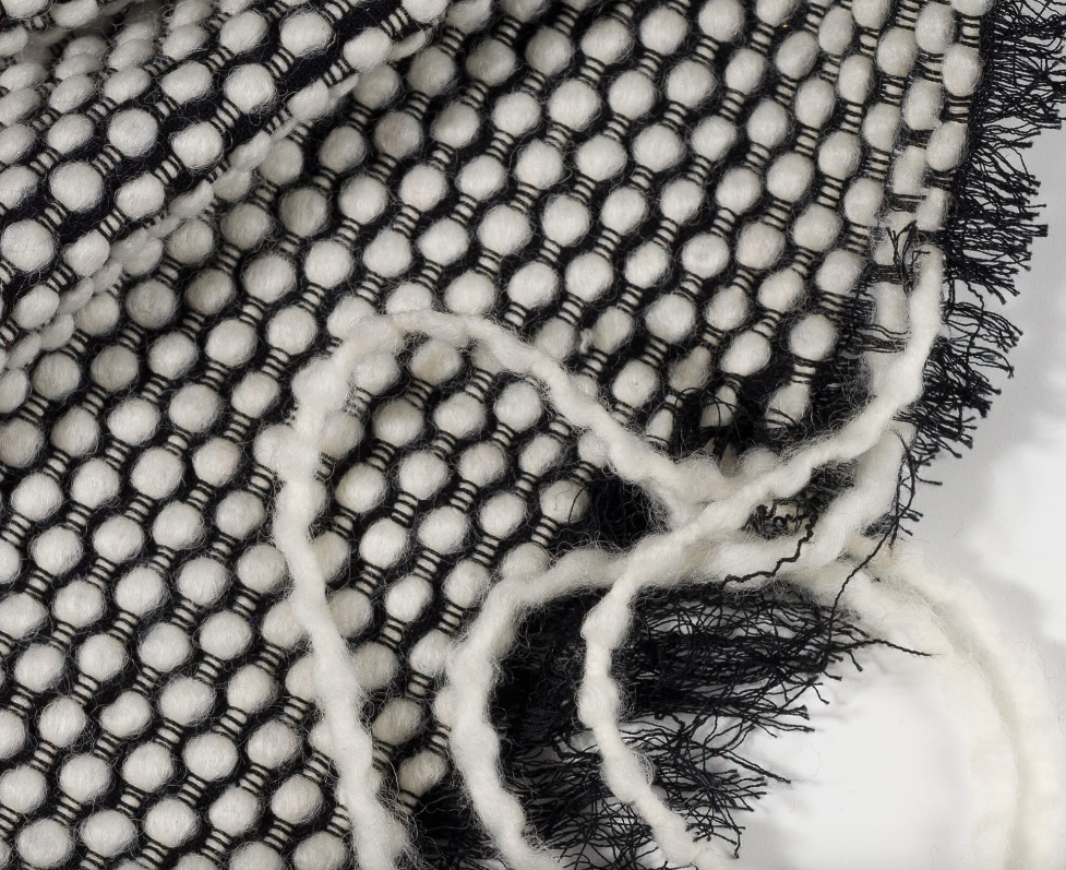 BIODEGRADABLE FIBRES trend | DBT Fibre