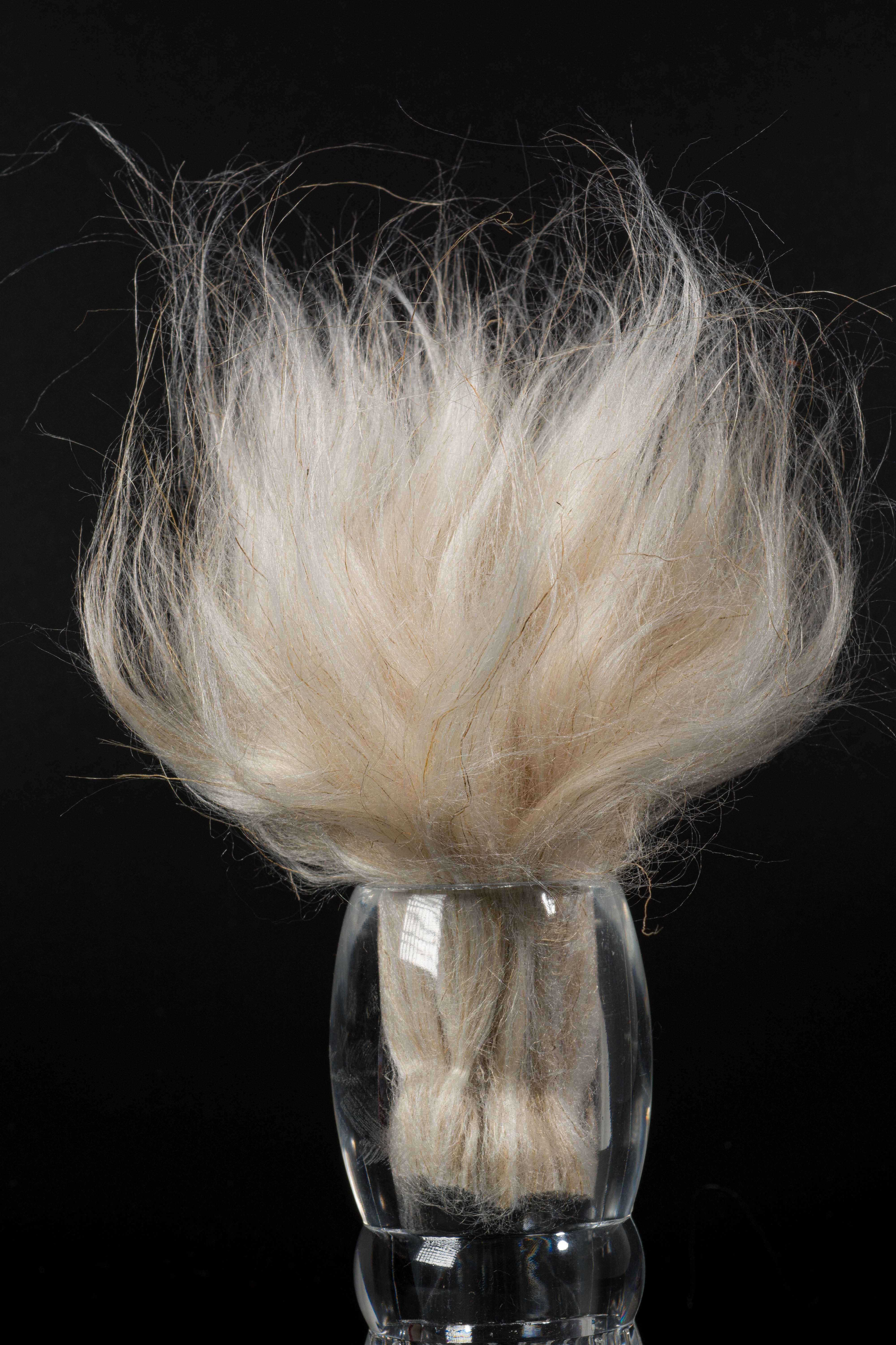 Short-Staple sector | DBT Fibre