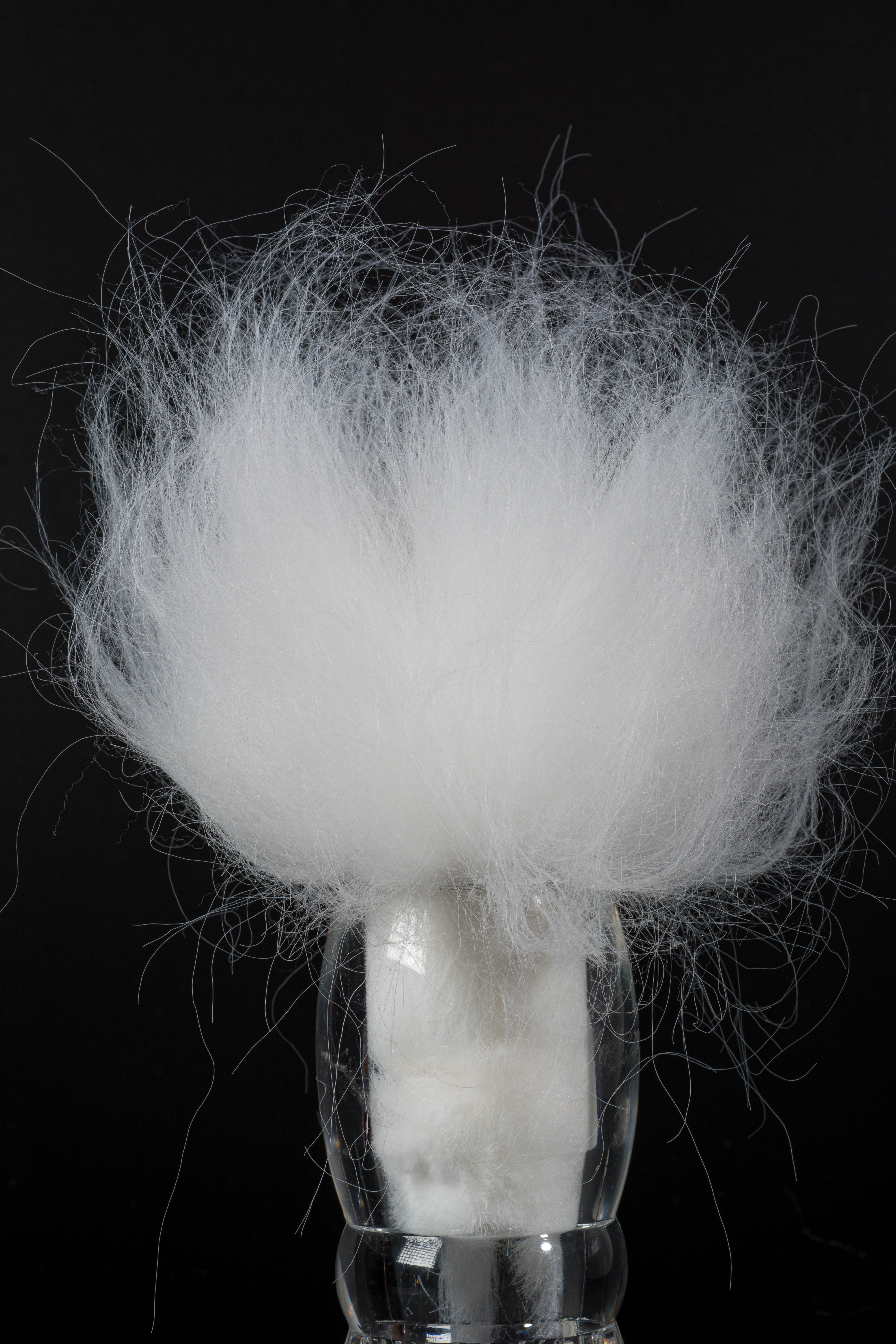 Short-Staple sector | DBT Fibre